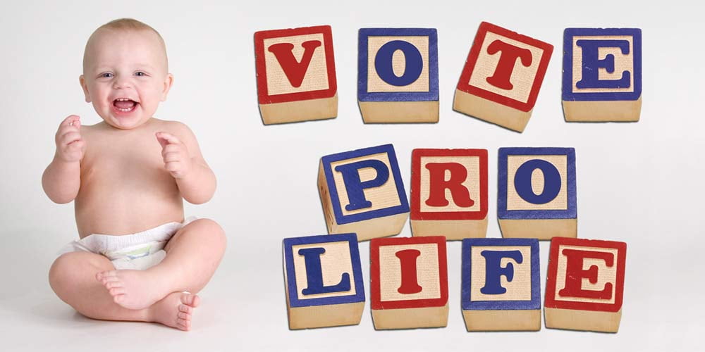 Vote Pro Life Pro-Life Vinyl Sign - Walmart.com