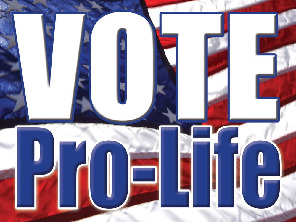 Vote Pro-Life Pro-Life Yard Sign - Walmart.com