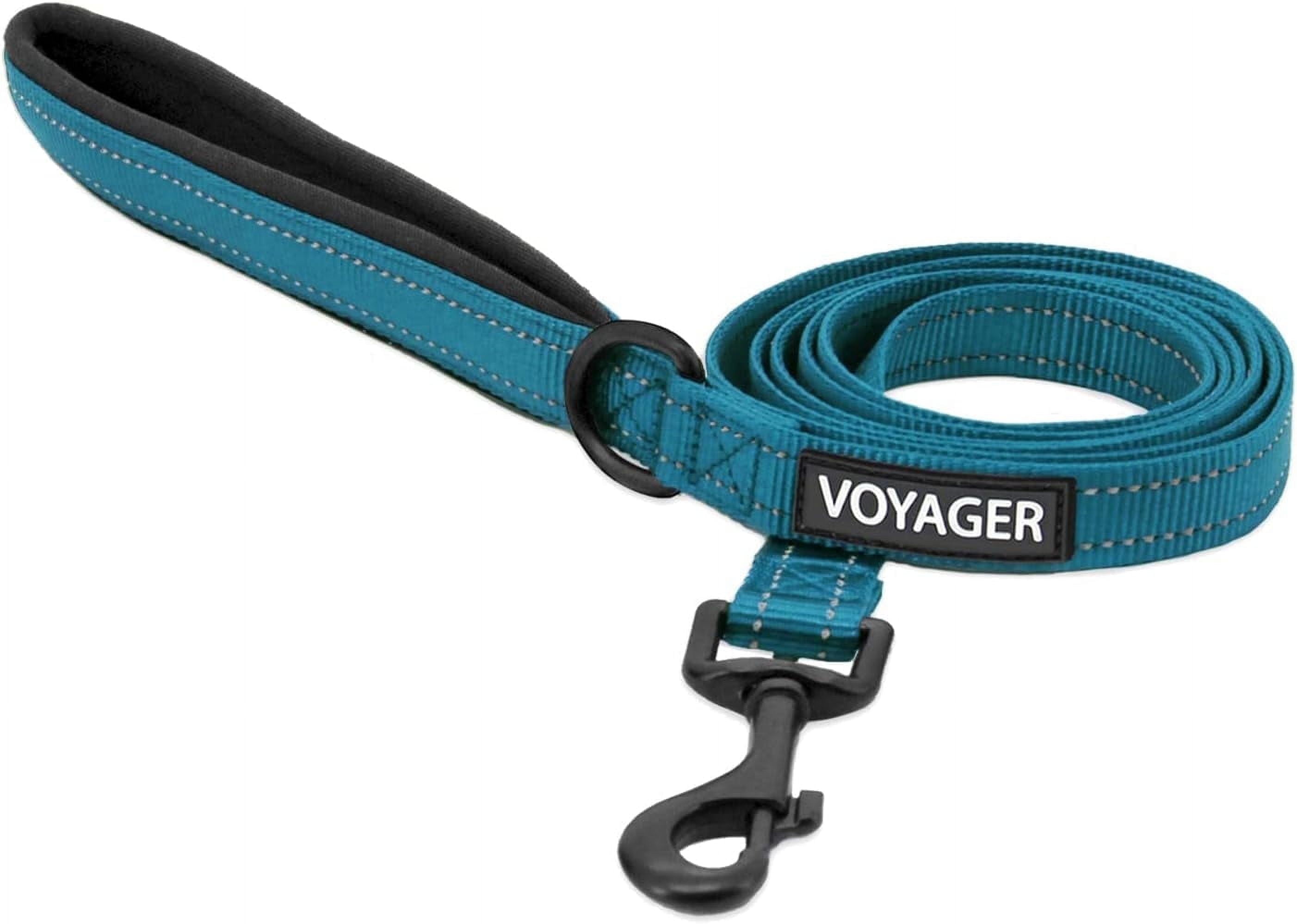Voyager Reflective Dog Leash with Neoprene Handle, 5ft Long, Supports ...