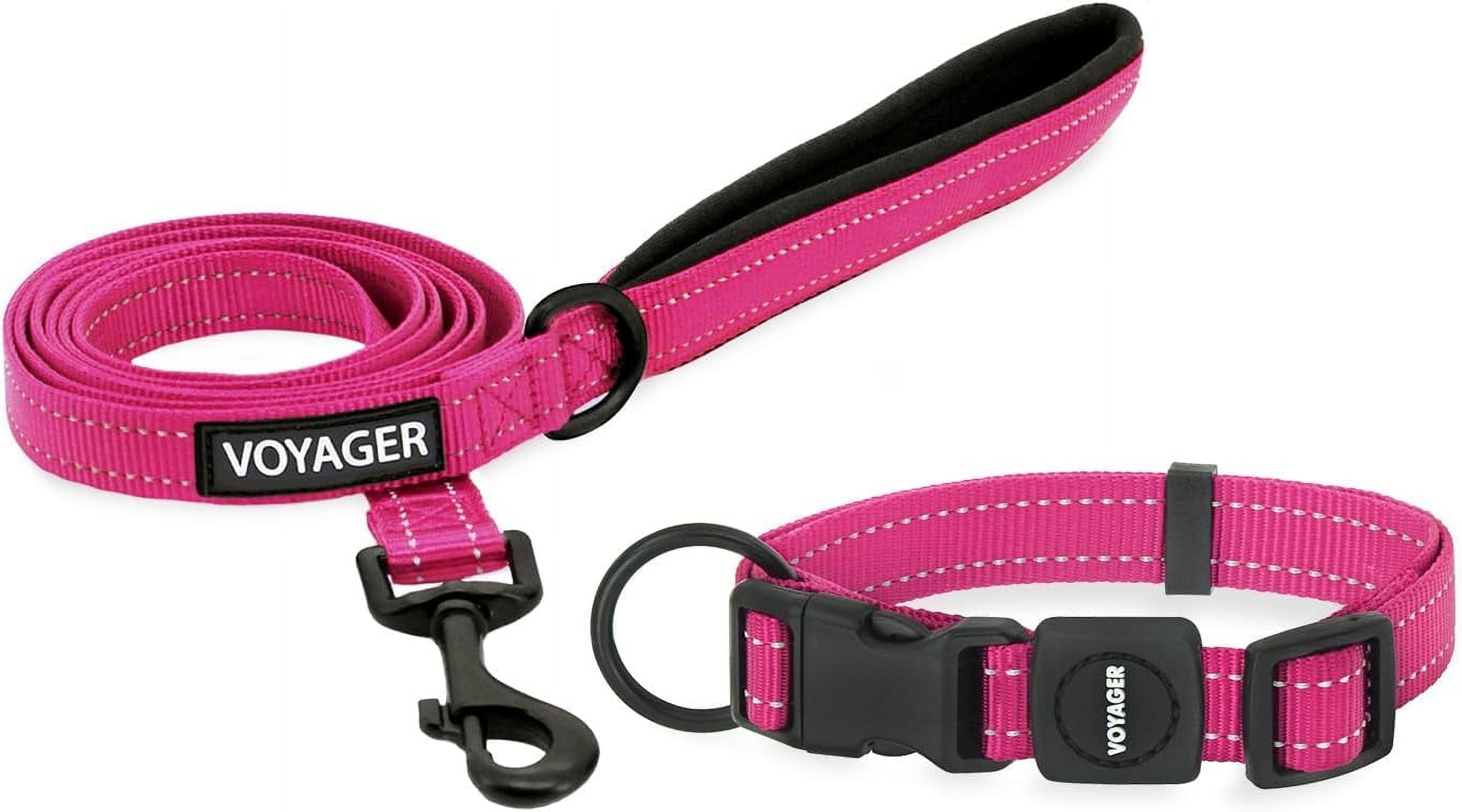 Voyager Reflective Leash Collar Set with Neoprene Handle, 5ft Long ...