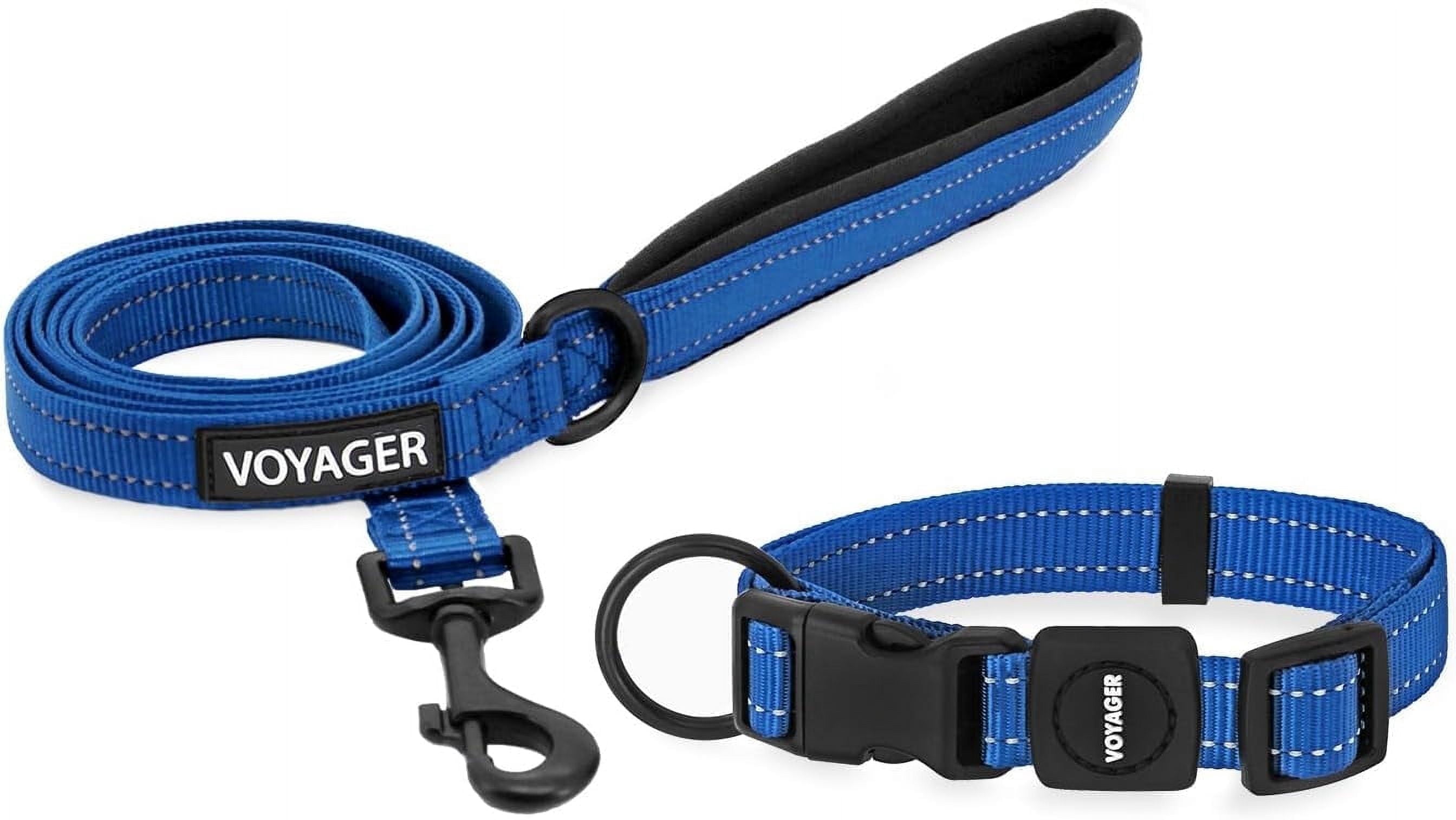 Voyager Reflective Dog Leash & Collar Set, Neoprene Handle, for Small ...