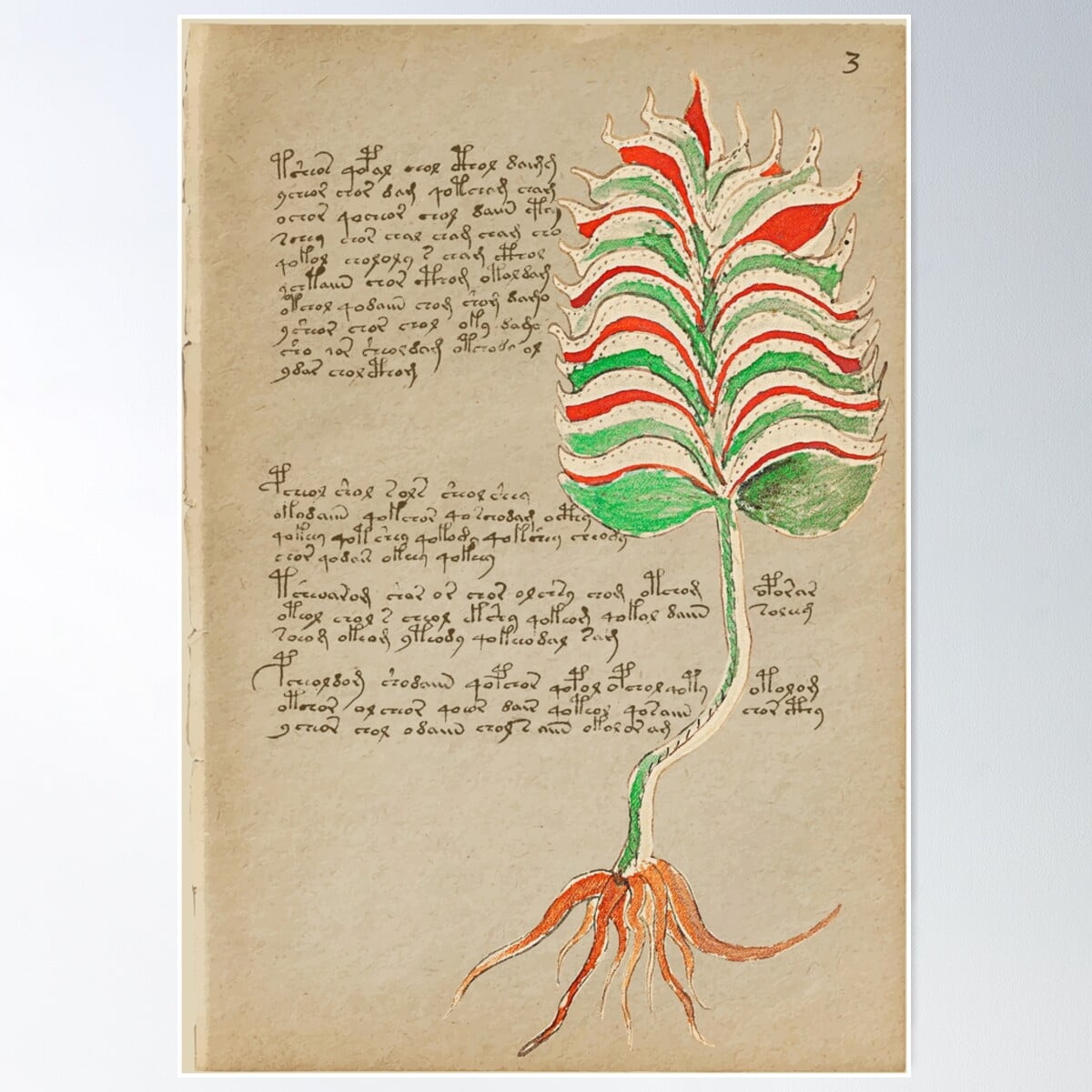 Voynich Manuscript Poster Wall Art, Modern Wall Decor For Living Room ...