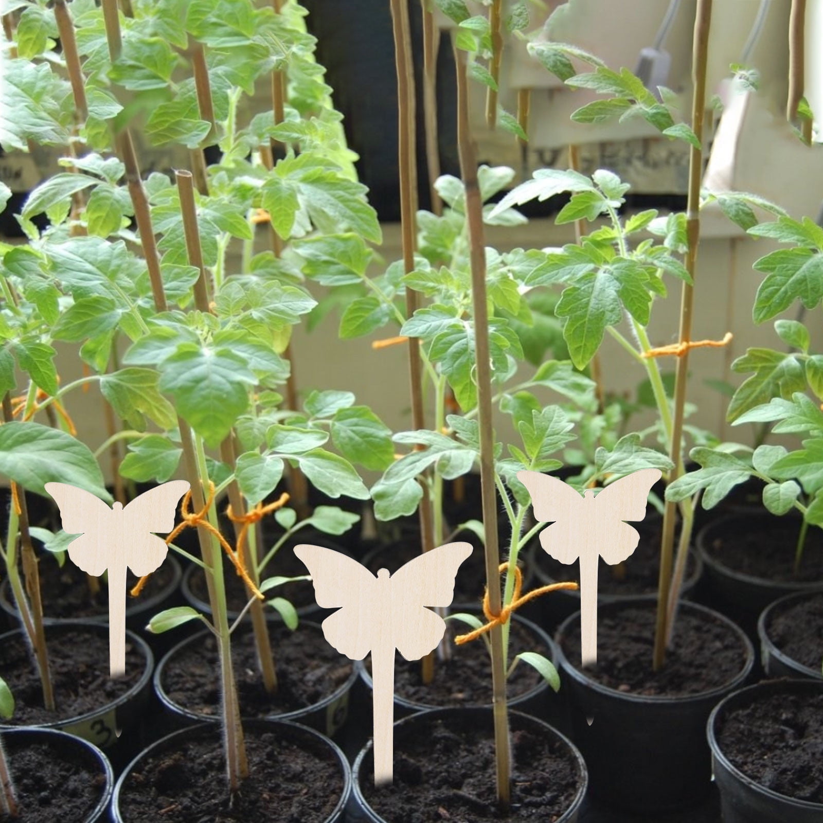 Vrorvz Creative Wooden Garden Plant Labels 10 Pack Easy Write Long ...