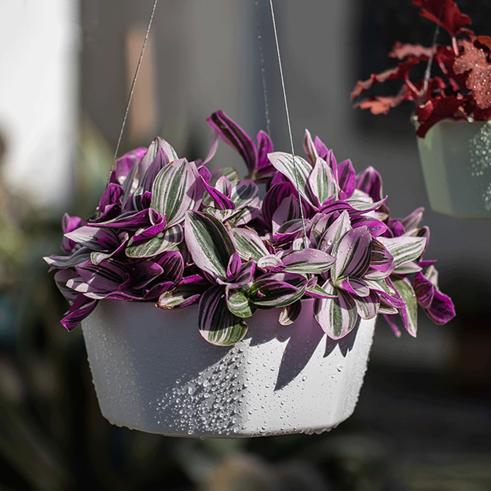 Vrorvz Modern Hanging Indoor Planters Art Decor for Wall and Ceiling ...