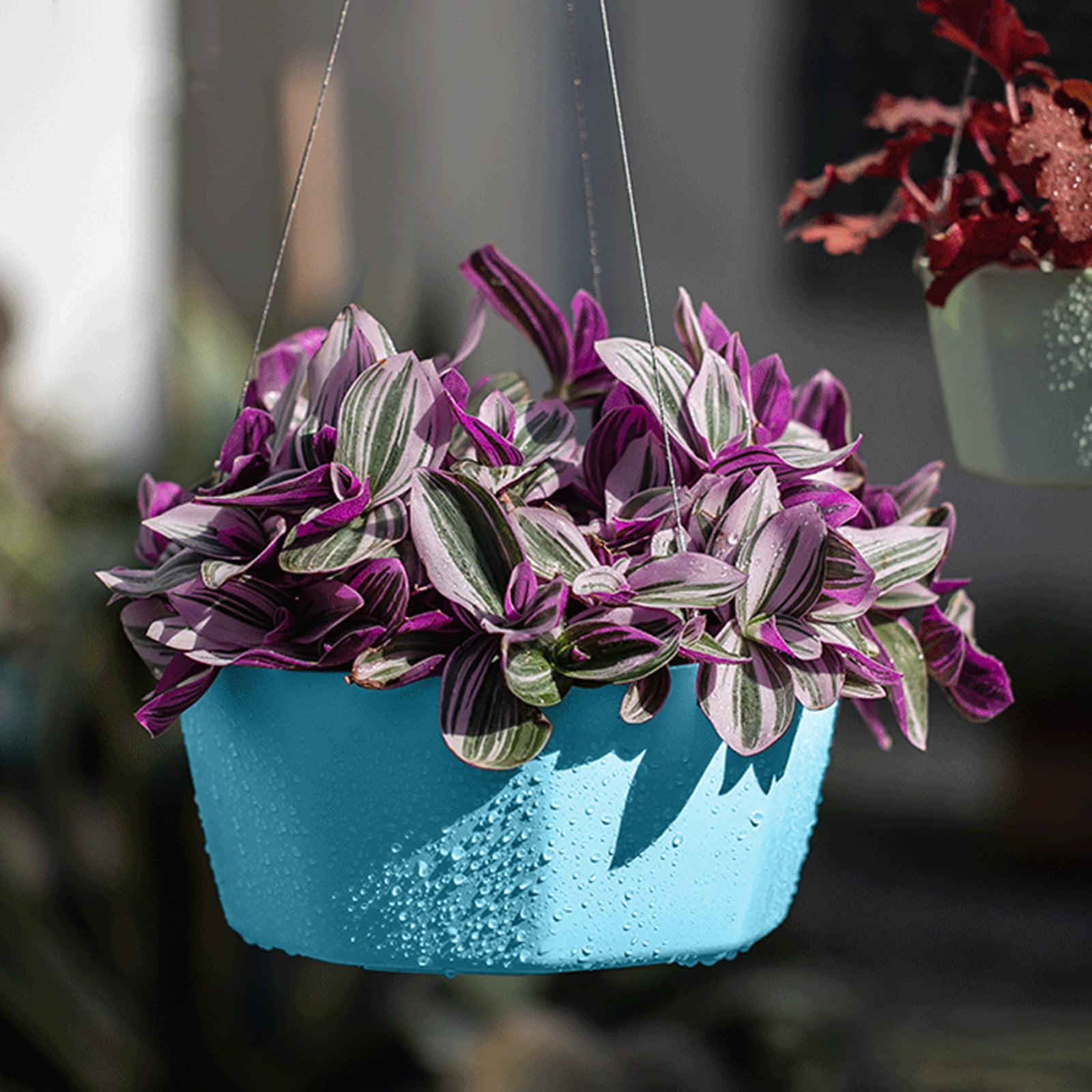 Vrorvz Modern Hanging Indoor Planters Art Decor for Wall and Ceiling ...