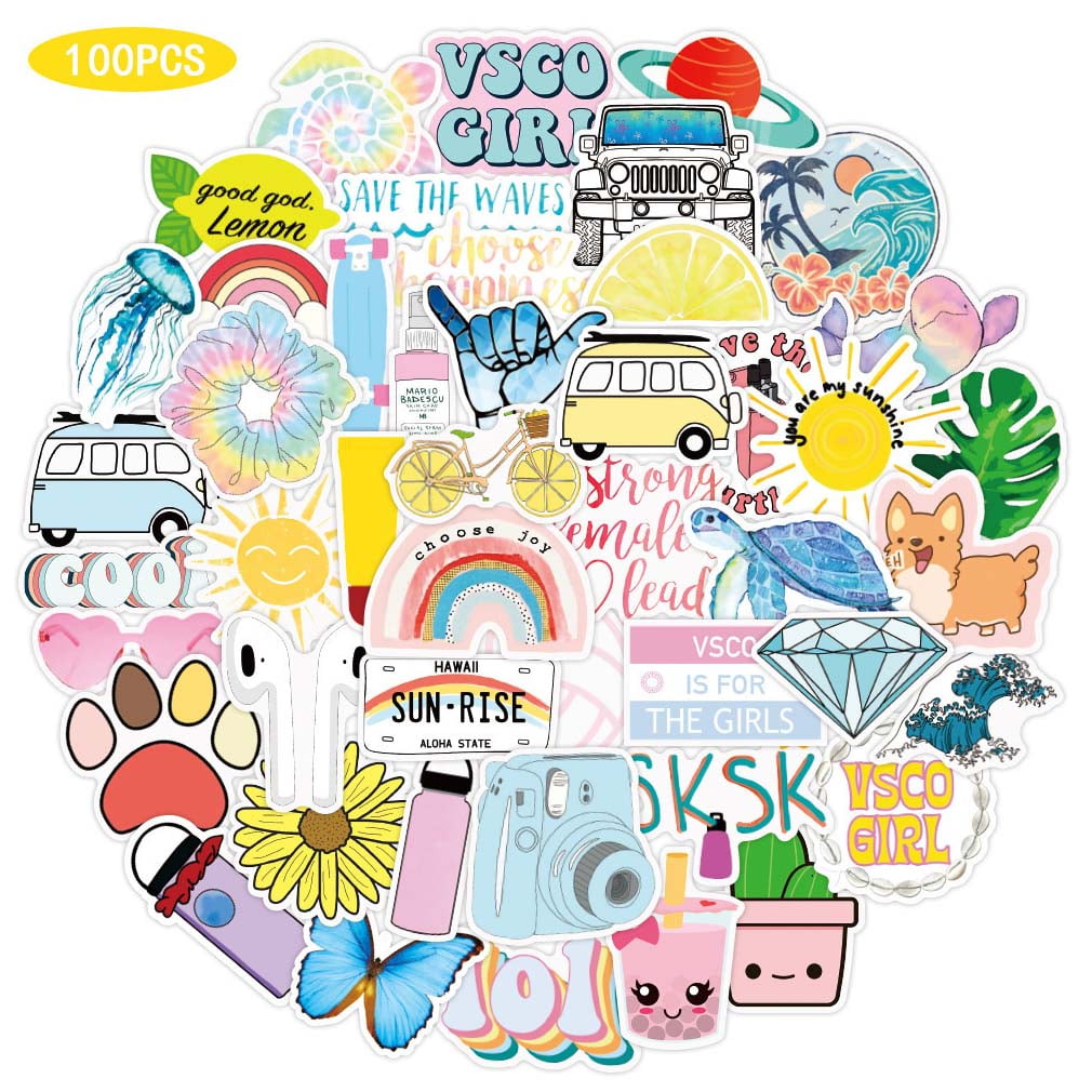 DOBIKULU 100pcs Vsco Stickers for Water Bottle Laptop, Waterproof Vinyl ...