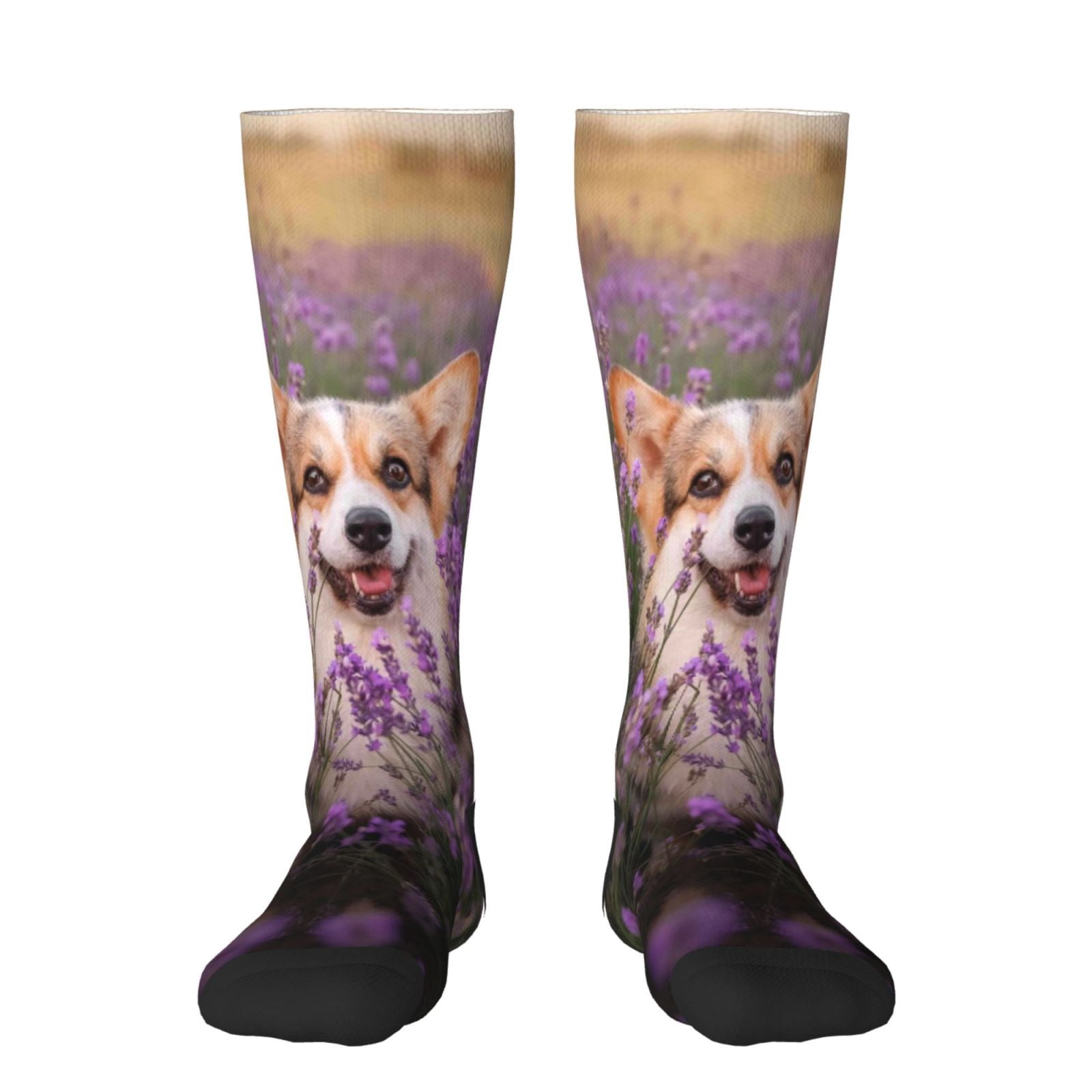 Vsdgher Dog in Lavender Flowers Print Thigh High Socks Extra Long ...