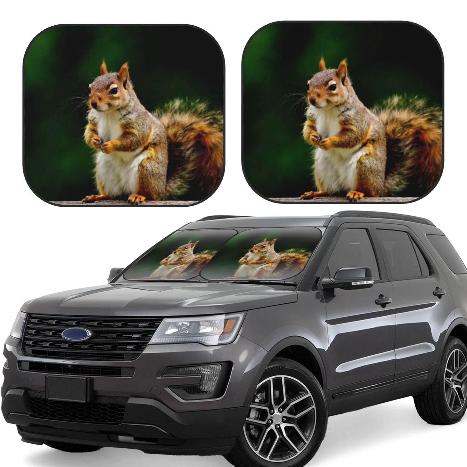 Vsdgher Squirrels Eating Peanuts On The Tree Print Car Windshield Sun ...