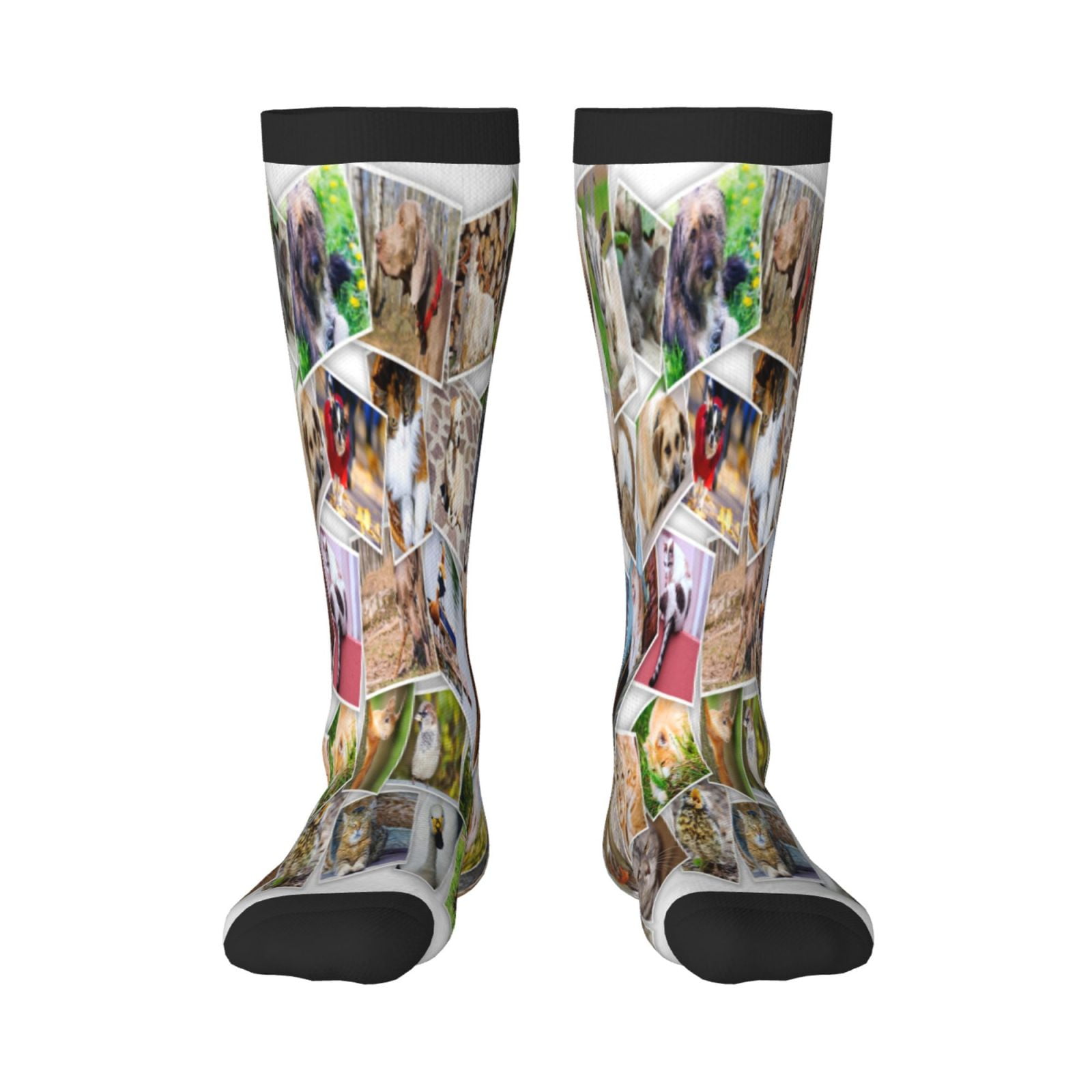 Vsdgher pets and birds Collage Knee Socks, High Socks Long Stretchy ...