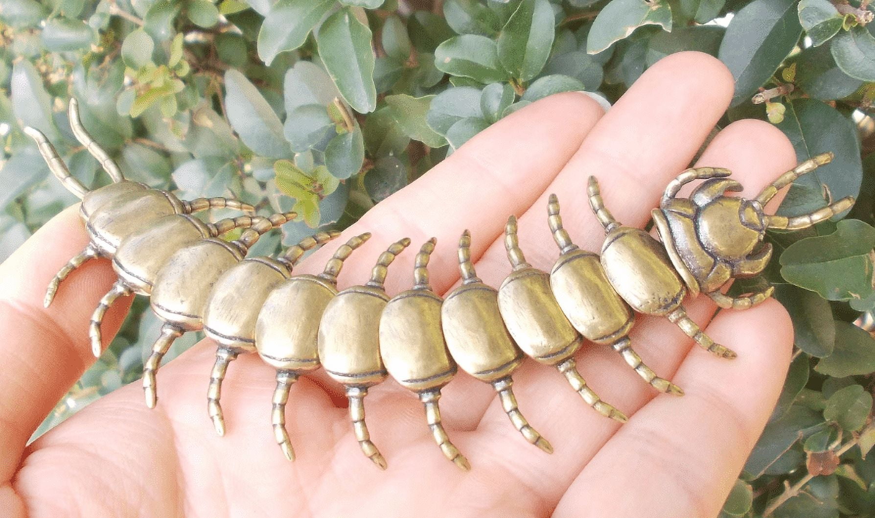Vtgbrasslover Vtg Vintage style brass lucky centipede Statue Fortune ...