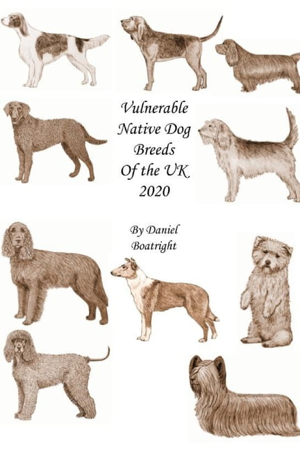 Vulnerable Native Dog Breeds : of the UK 2020 (Paperback) - Walmart.com