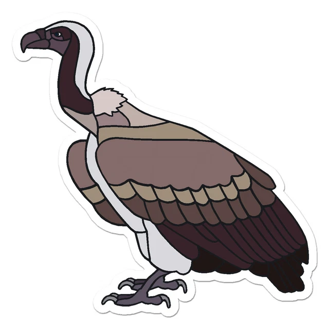 Vulture Bird Carrion Sticker Phone Decal Water Bottle Stickers Car ...