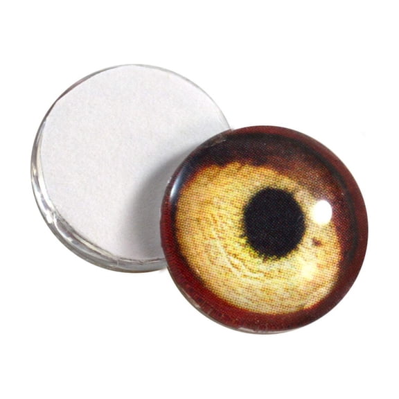 Bright Turquoise Cat Glass Eyes - Walmart.com
