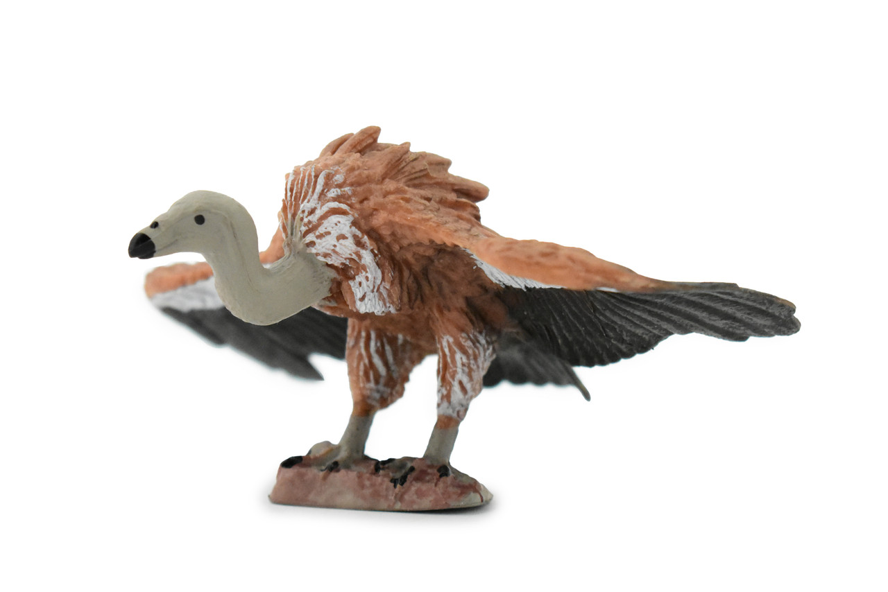 Vulture, Museum Quality, Rubber Bird, Hand Painted, Realistic Toy ...