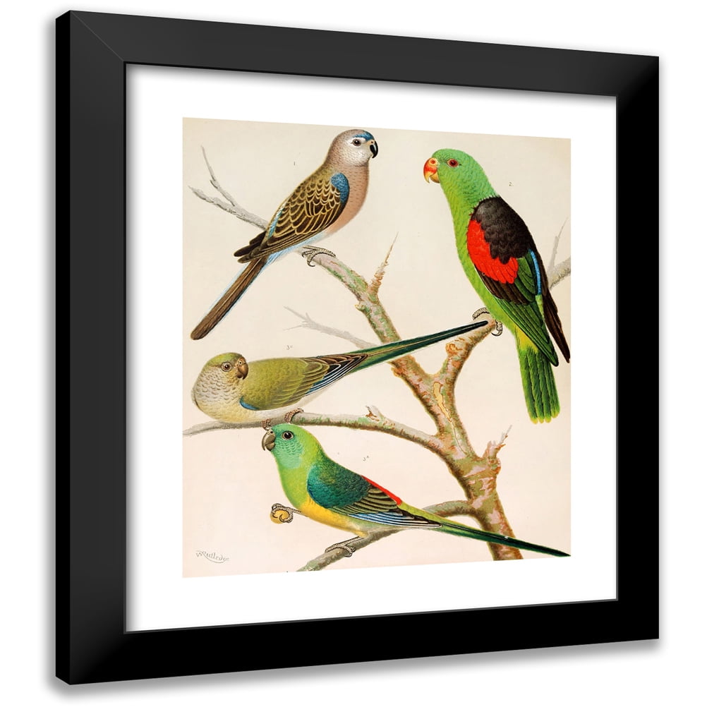 W. A . Blakston 20x23 Black Modern Framed Museum Art Print Titled ...