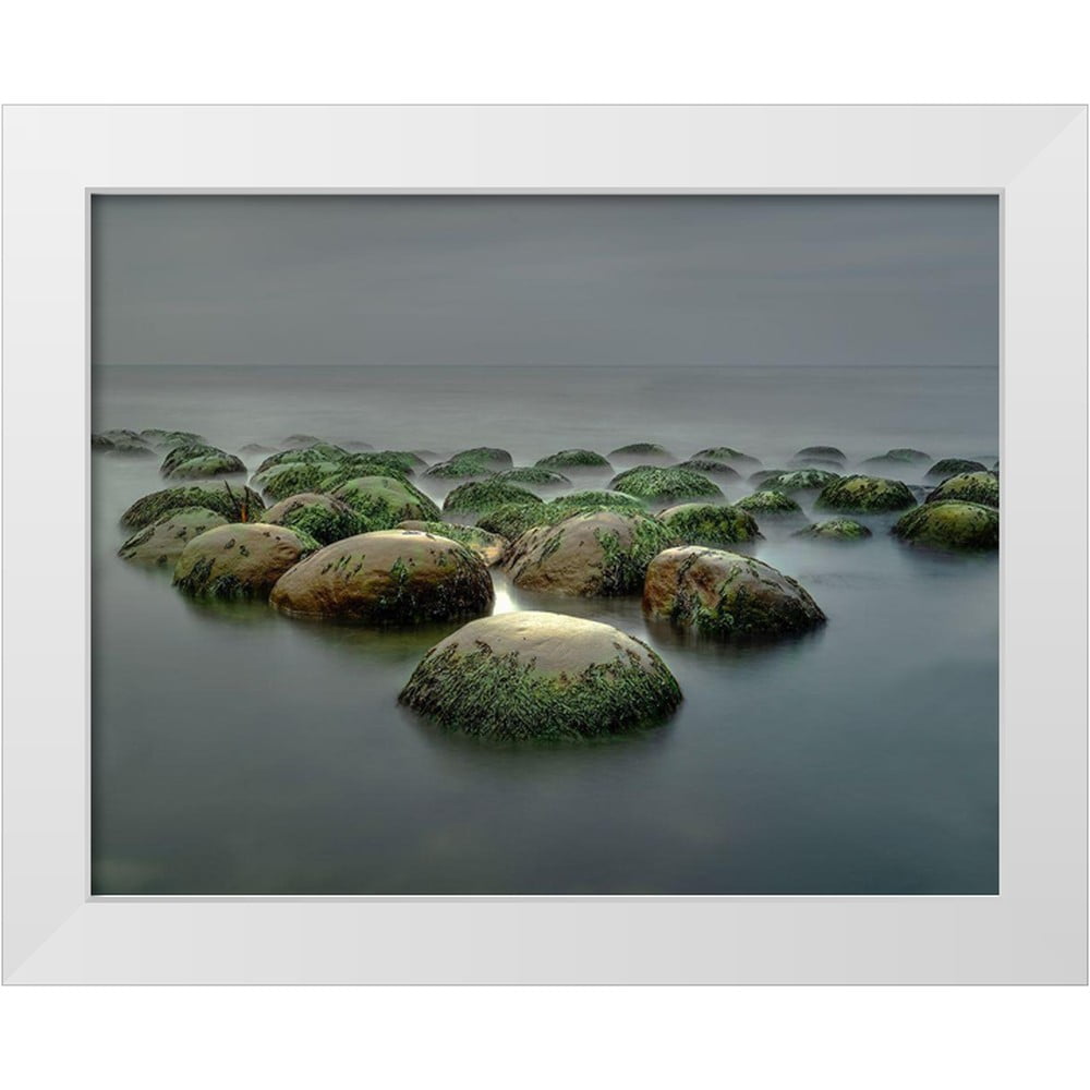 W. Chen, Janice 24x19 White Modern Wood Framed Museum Art Print Titled ...