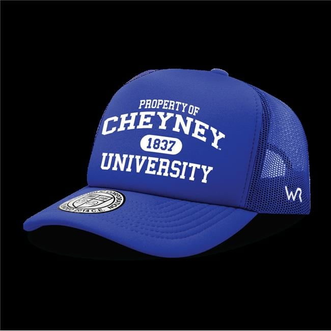 W Republic 1027-509-RYL Cheyney University Wolves Property of College ...