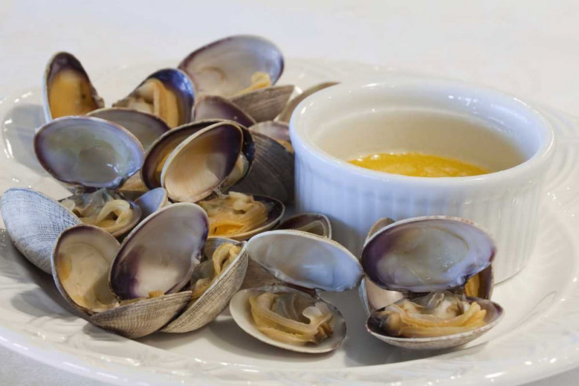 WA, Puget Sound Manila clams and butter sauce by Don Paulson (24 x 15 ...