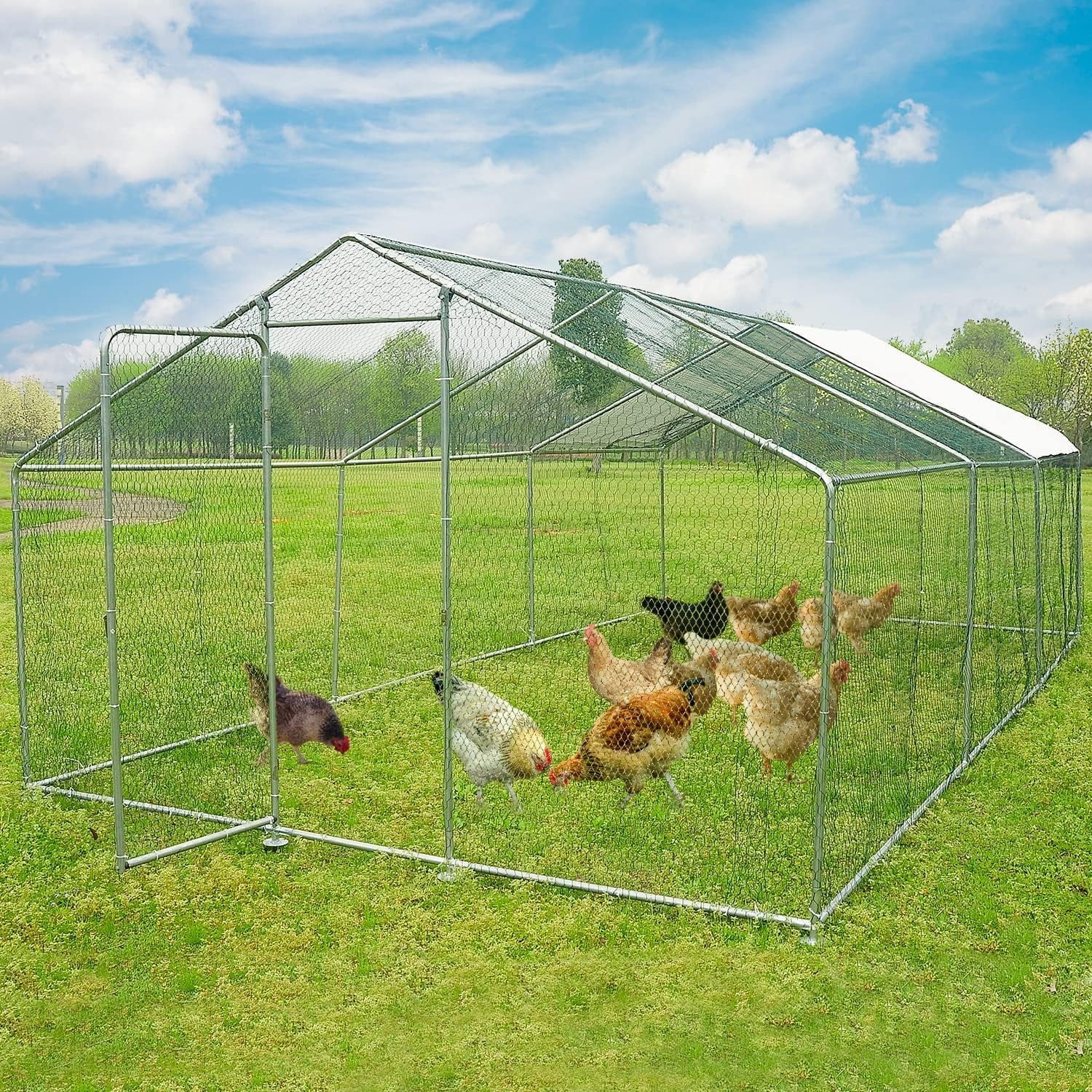 WAINEST Large Metal Chicken Coop,Walk-in Poultry Cage with Chicken ...