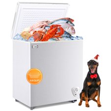 12 Cubic Foot Chest Freezer