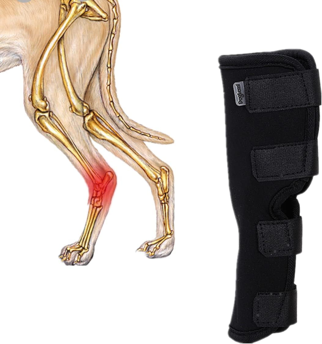 WANDCO Rear Leg Joint Wrap Protects Wounds as They Heal, Compression ...