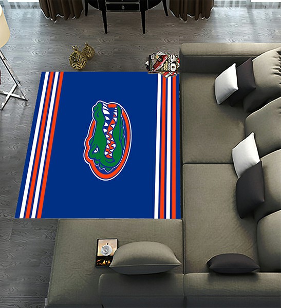 WANDJYOU Florida_Gators_Retro_ Area Rugs 3 x 4ft Floor Carpet Mat for ...