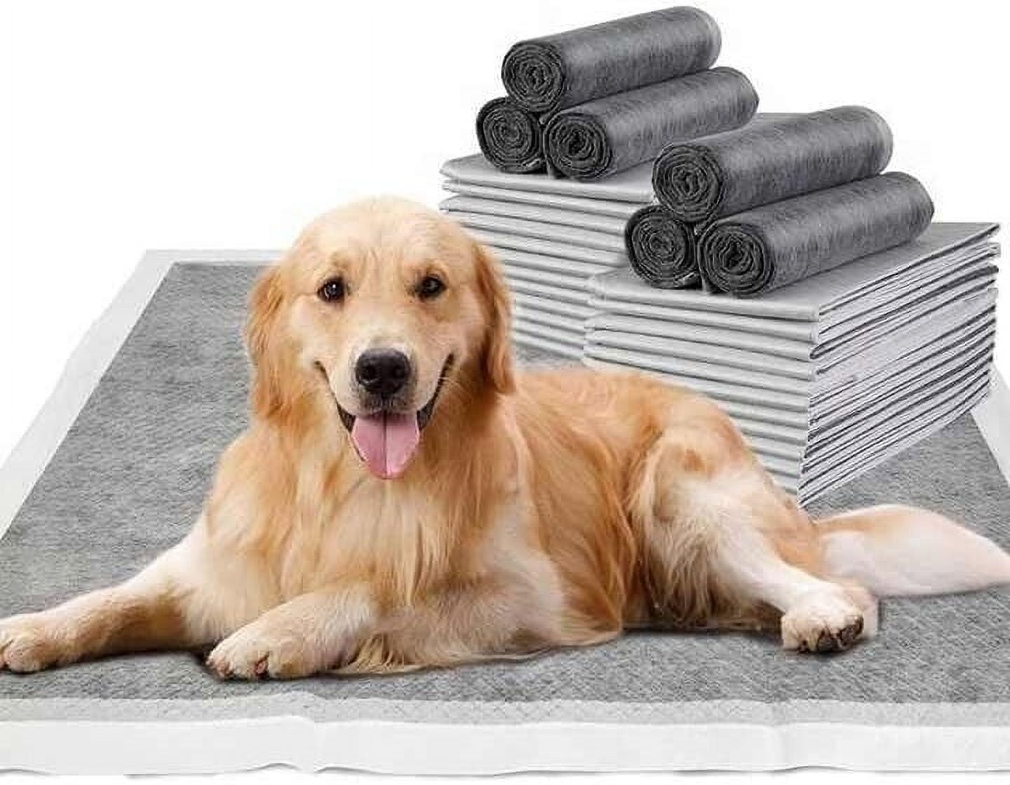WANGBOY Pet Training Pads for Dogs 24x24 Ultra-Absorbent Charcoal Puppy ...