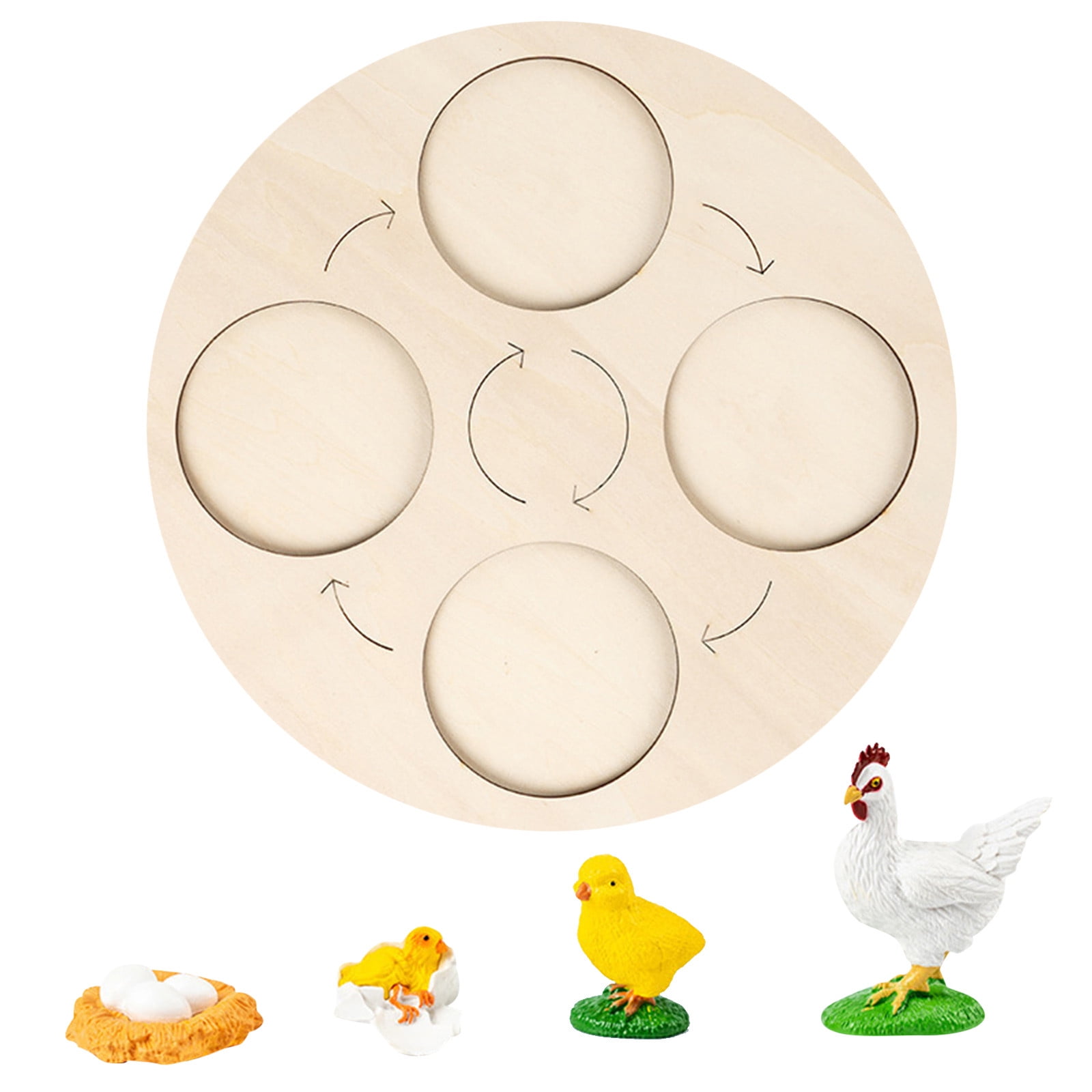 WANGJIAOID Bathtub Letters for Toddlers Chicken Life Cycle Of A Growth ... WANGJIAOID Bathtub Letters for Toddlers Chicken Life Cycle Of A Growth ...