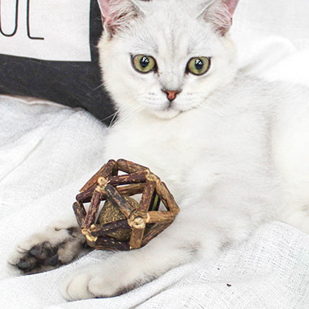 WANGJIAOID Catnips for Cats Catmint Walkers Low Chatsworth Rack Screws ...