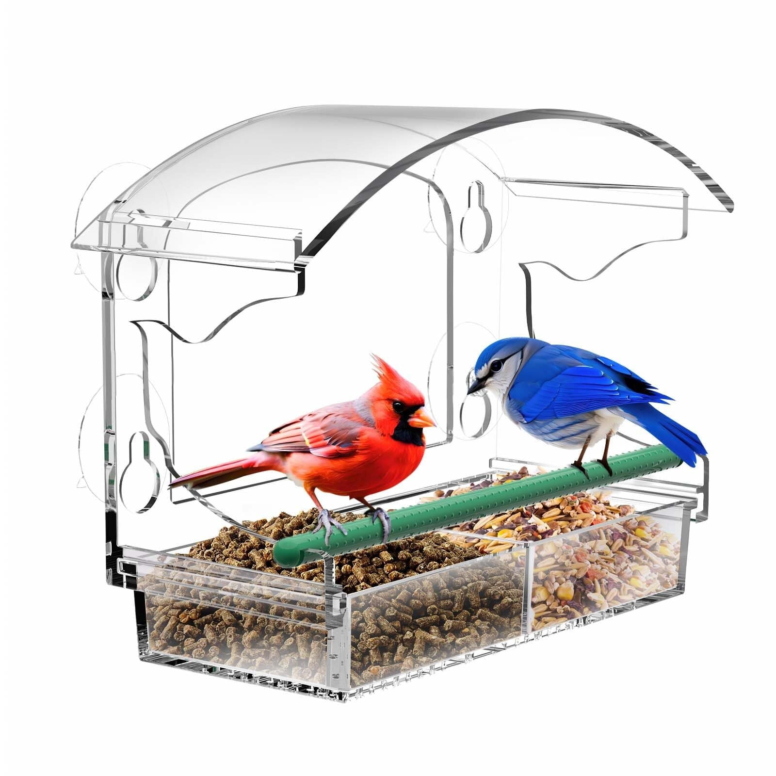 WANGLI Clear Acrylic Window Bird Feeder for Outside with 4 Strong Suction Cups and Detachable ...