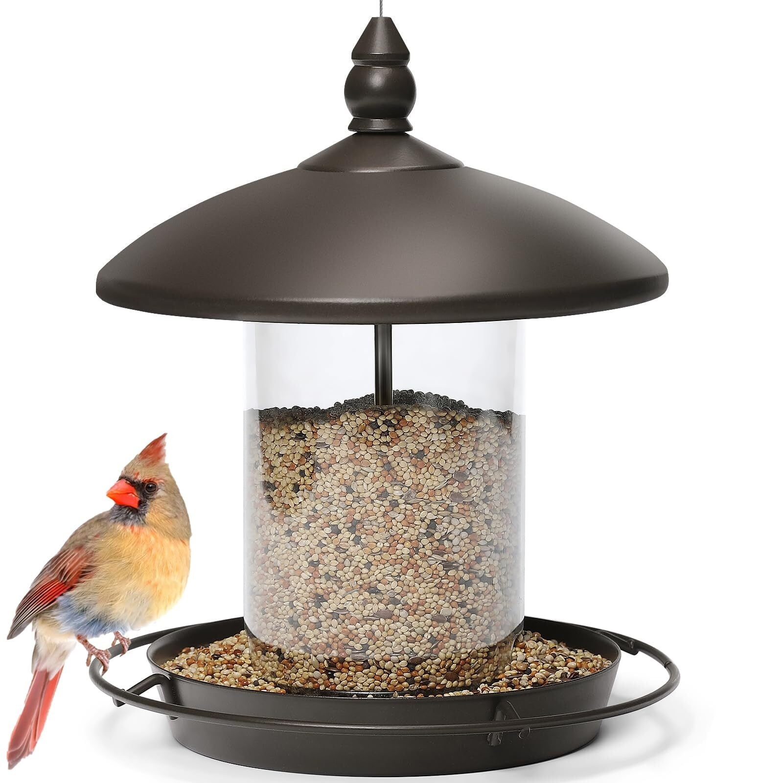 WANGLI Metal Roof Bird Feeder - Chew Proof for Outdoor Hanging Wild Bird Seeds. Bronze - Walmart.com