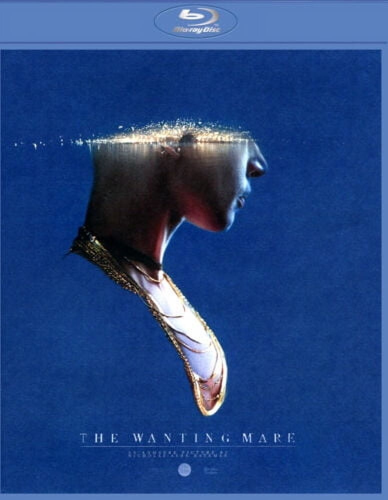 WANTING MARE NEW DVD | #Catalogs - Walmart.com