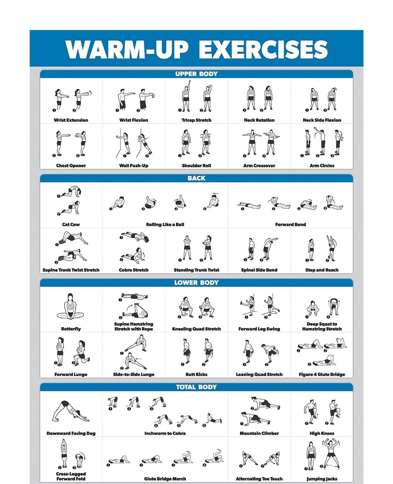WARM-UP EXERCISES Poster Fitness Charts A must-have poster for fitness ...