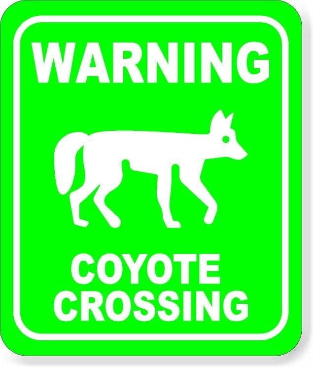 WARNING COYOTE CROSSING NEON GREEN Aluminum Composite Sign, 20"x24 ...