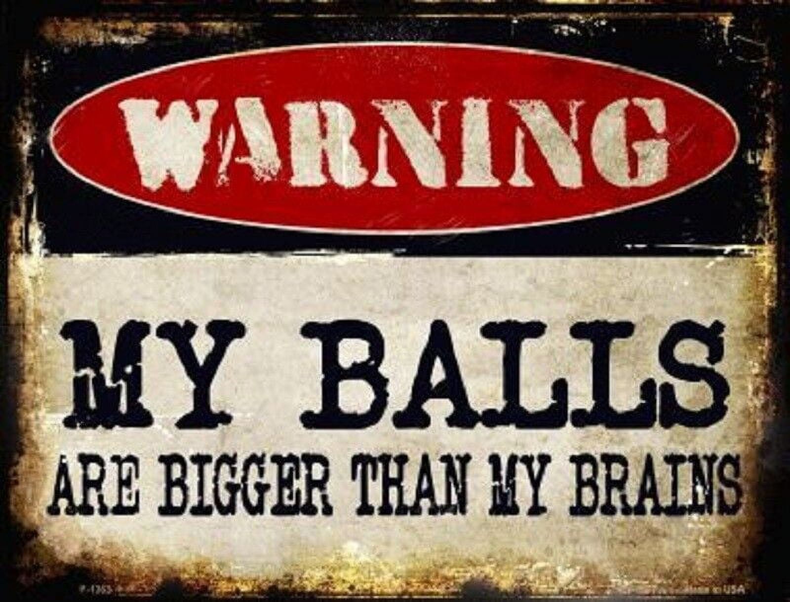WARNING MY BALLS ARE BIGGER THAN MY BRAINS NOVELTY METAL PARKING Sign ...