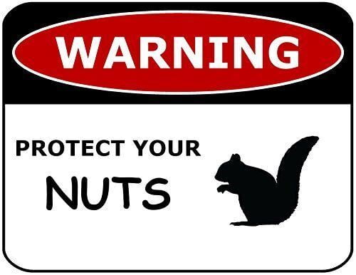 WARNING PROTECT YOUR NUTS Funny Metal Aluminum Sign Size: 16 x 12 Inch ...
