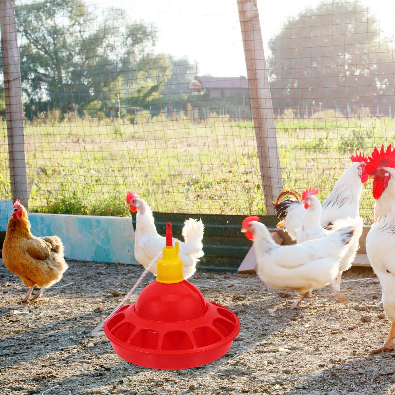 WASHWEPE 1Pack Red Rounded Poultry Feeder Waterer PP Material Automatic ...