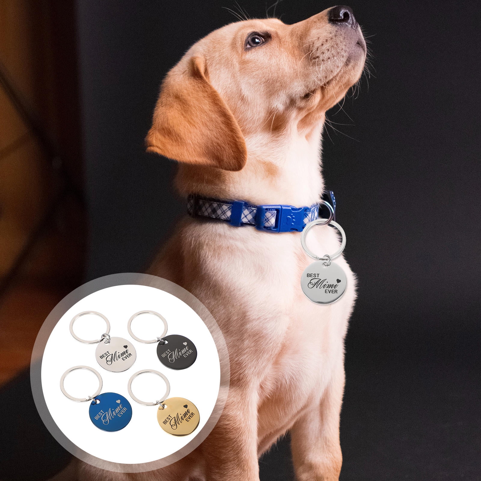 WASHWEPE Pet Identification Tags Stainless Message for Cat Dog Collars ...