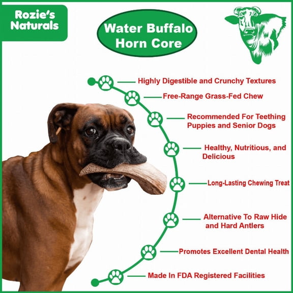 Water Buffalo Horn Dog Chew