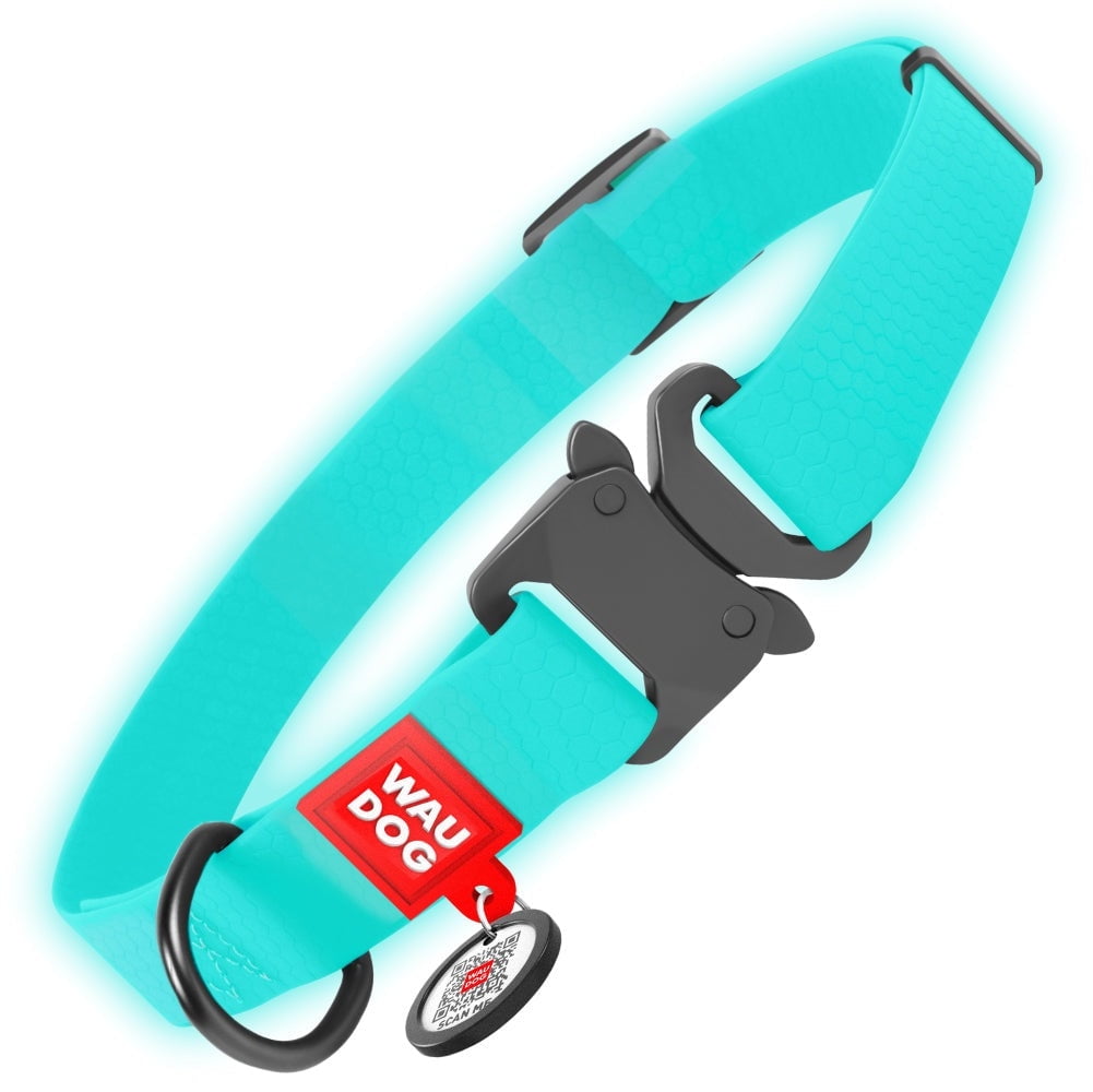 WAUDOG Glows in The Dark Waterproof Dog Collar with Metal Buckle ...
