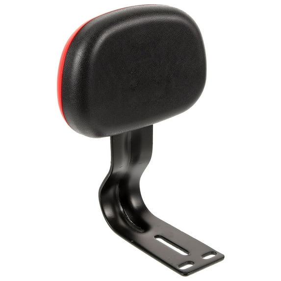 WAXIAYUZ Motorcycle Rear Seat Backrest & Luggage Rack with Soft Pad ...