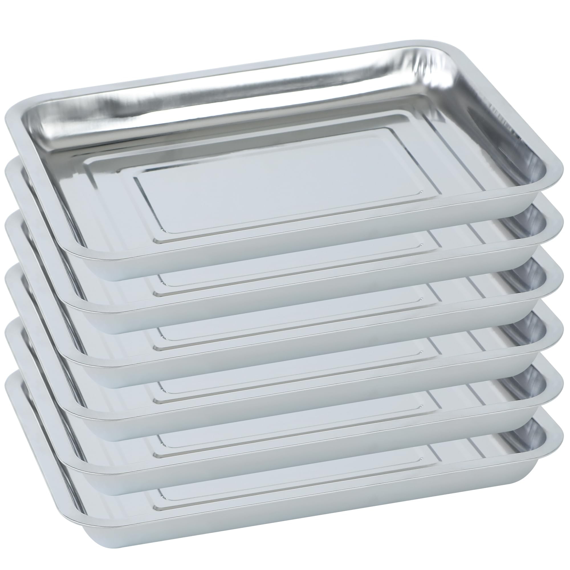 WBCBEC Plant Germination TWE5 Trays, Stainless Steel Plant Trays ...