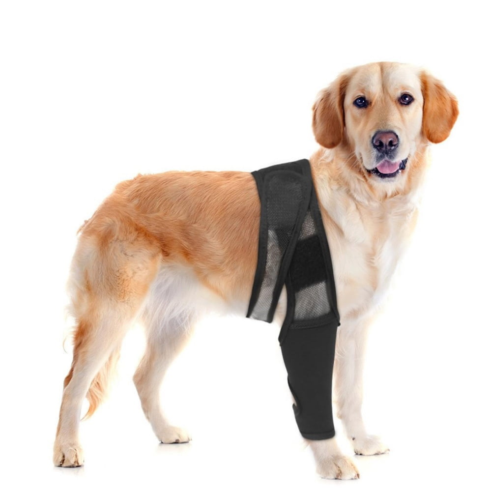 WBQ Leg Brace for Dog Pet Injury Knee Brace Dog Back Leg Protector ...