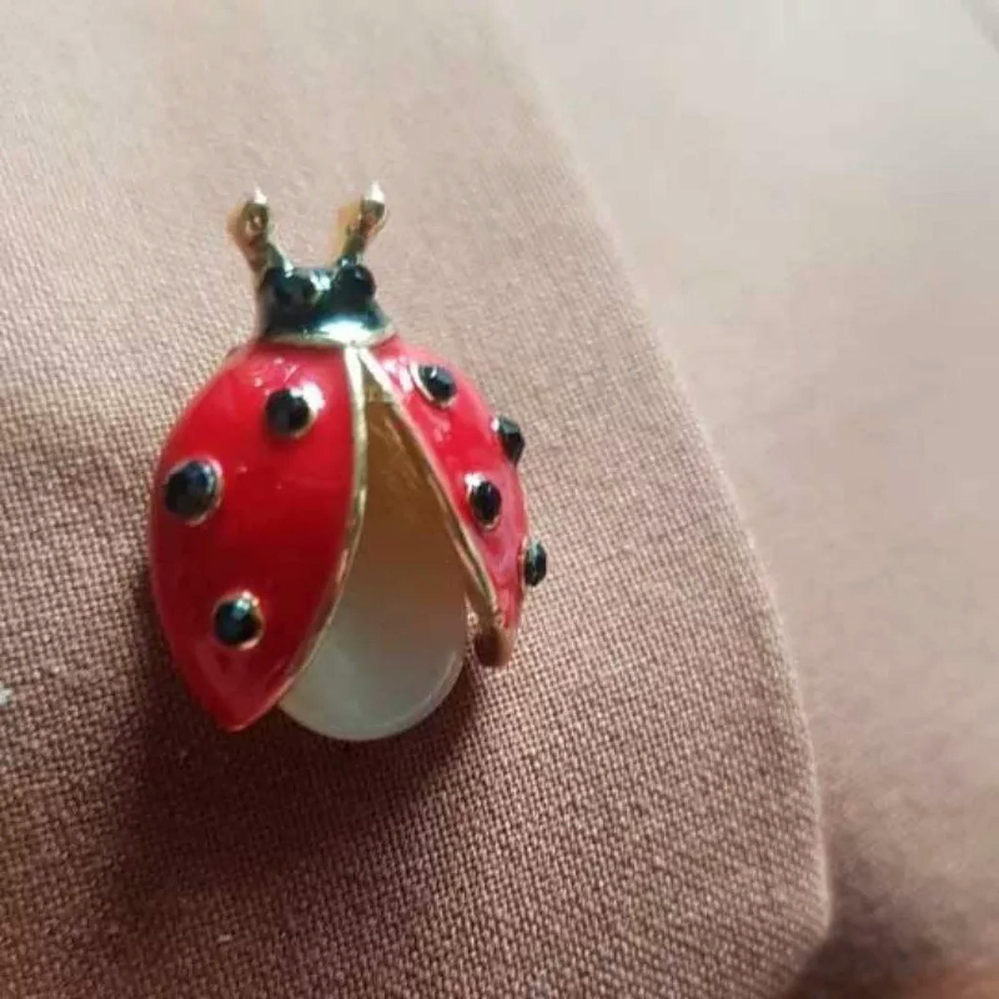 WBQF Fashion Ladybug Enamel Pin Metal Insect Bug Brooches Collective ...
