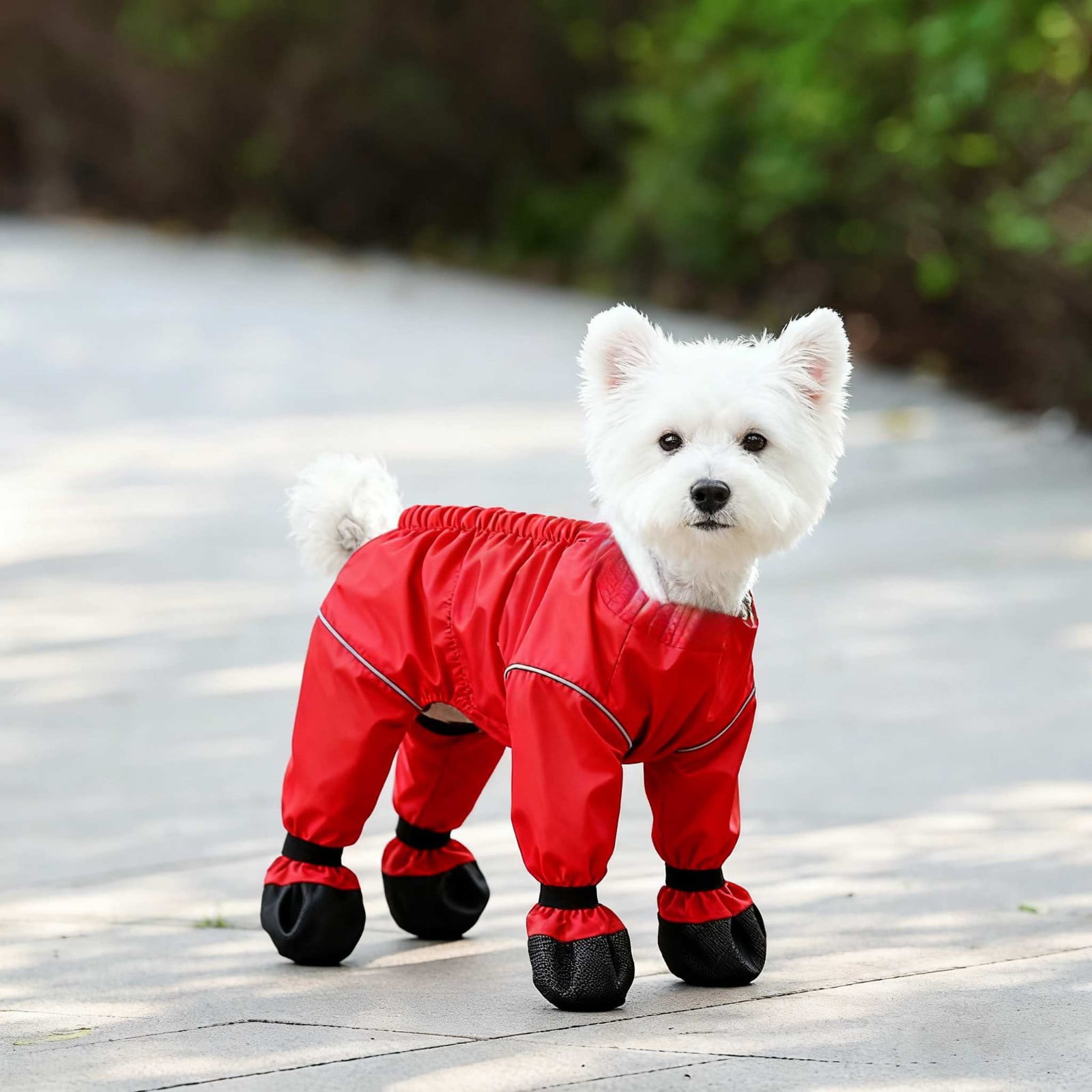 WD-Forest Waterproof Dog Boots Rain Boots with Suspender Dogs Shoes Paw ...