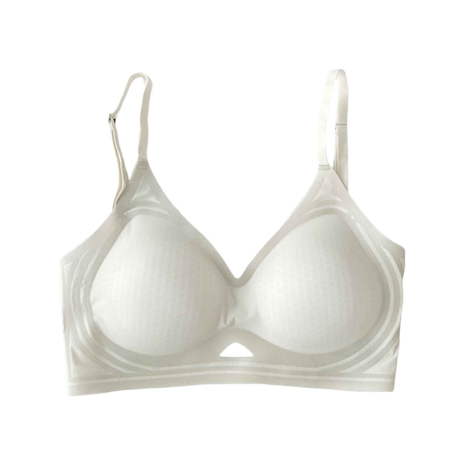 WDDDD Women's Semi Fixed Beautiful Back Bra with Thick Cup No Steel ...