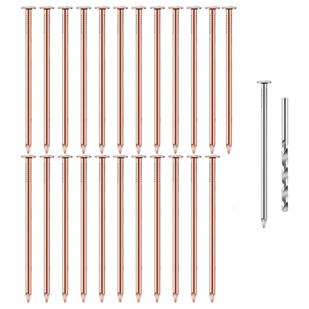 WE-POLUJ 25Pcs Copper Nails Tree Stump Killers Hardware for Killing ...