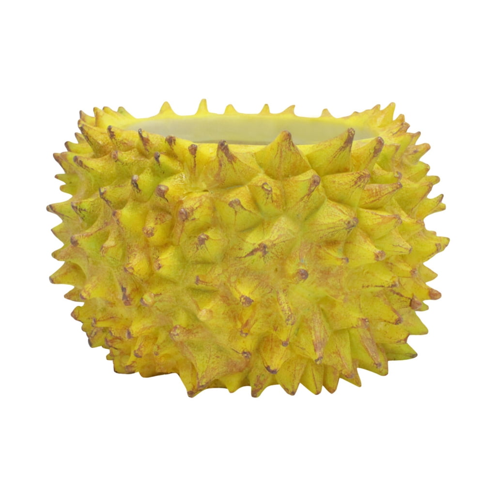 WE-POLUJ Durian-Shaped Flower Pots Resins Pots Plant Container ...