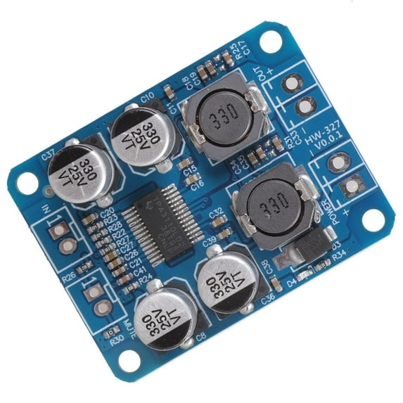 WE-POLUJ Efficient Mono 60W Digital Audios Power Amplifier Board with ...