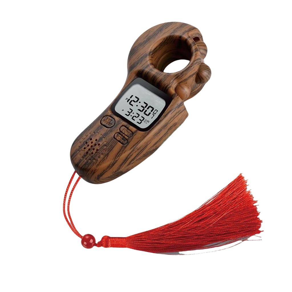WE-POLUJ Handheld Electrical Digital Counter Portable Finger Counter ...
